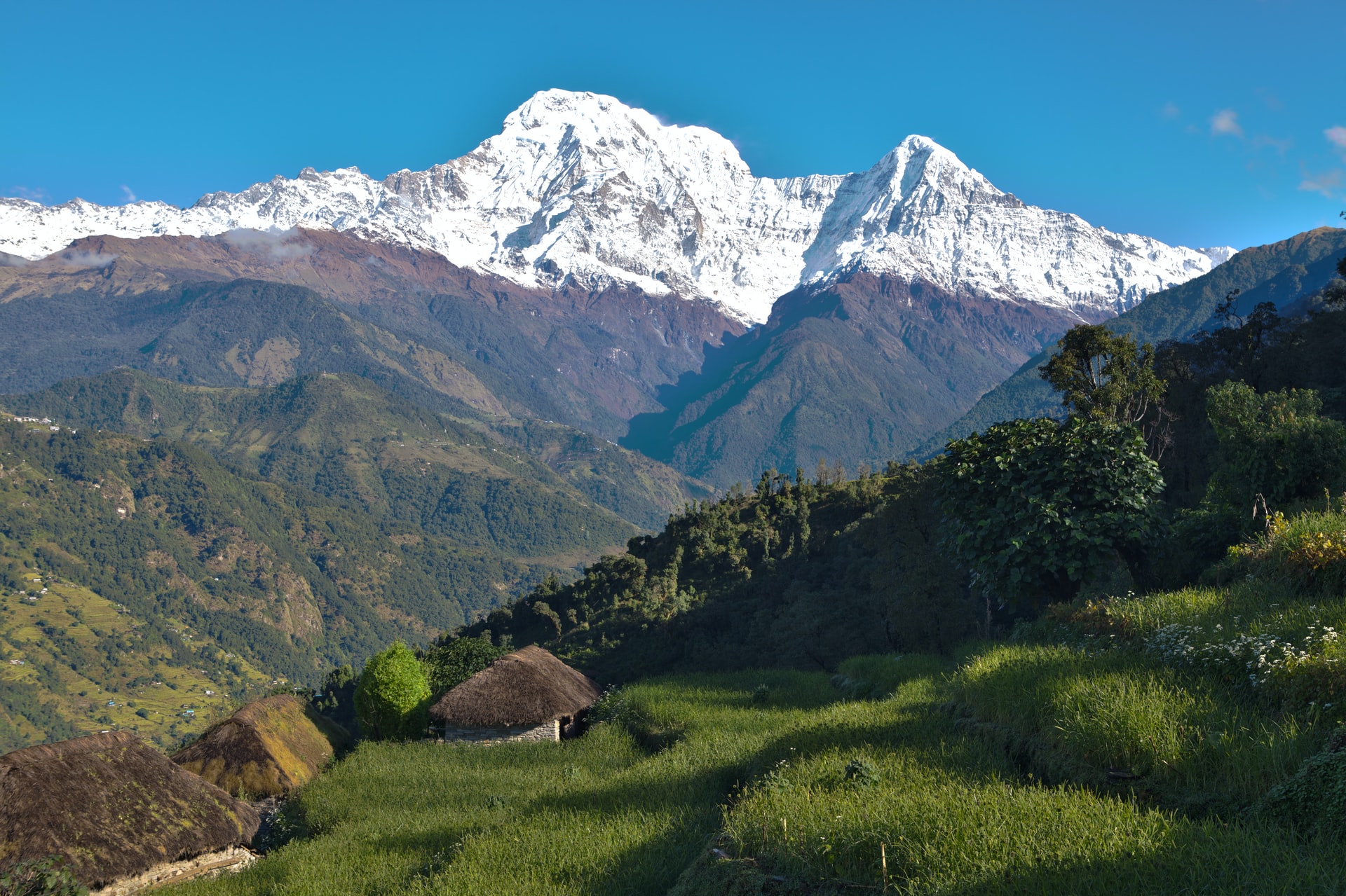 Himalayan mountains pictures